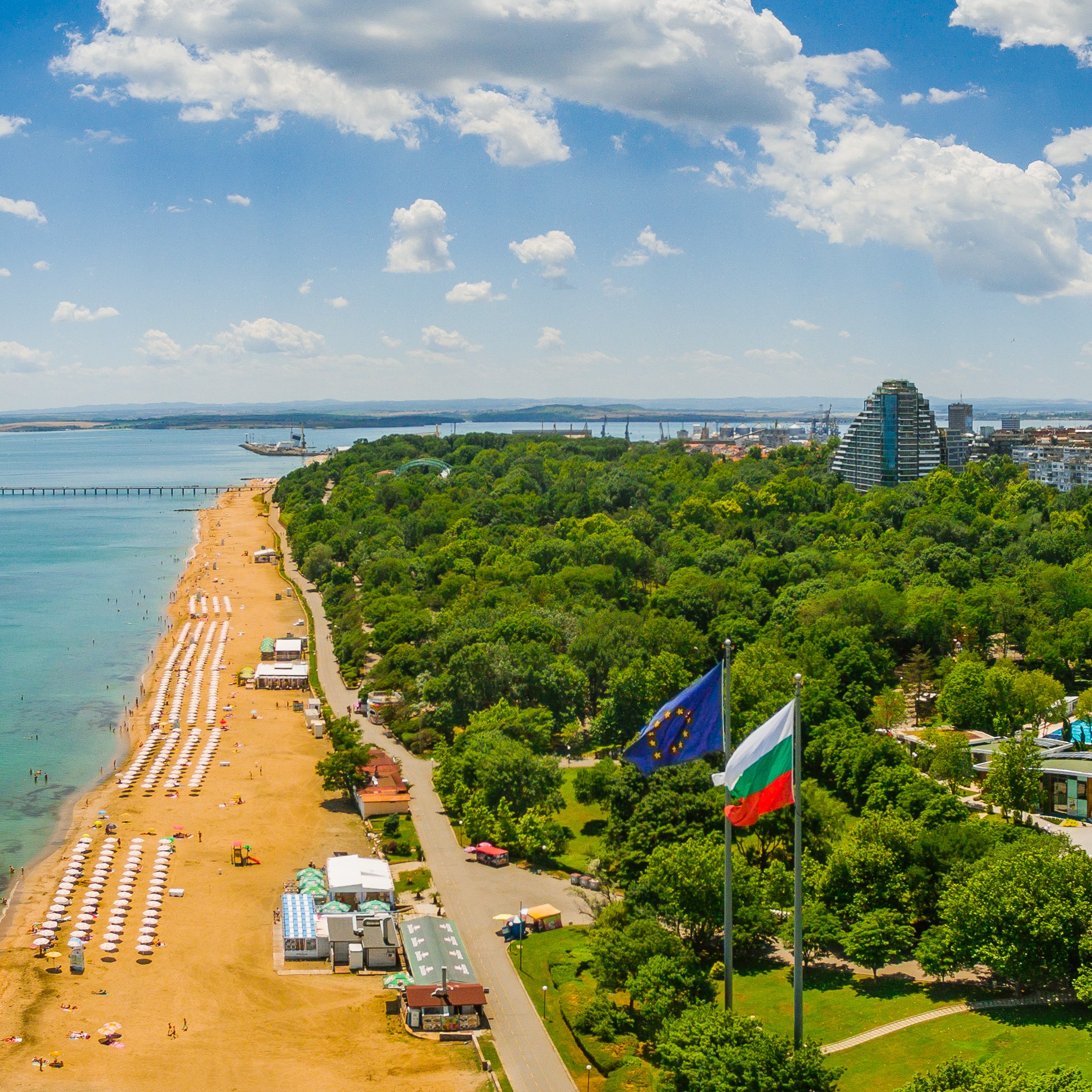 Homepage | TreesinCities